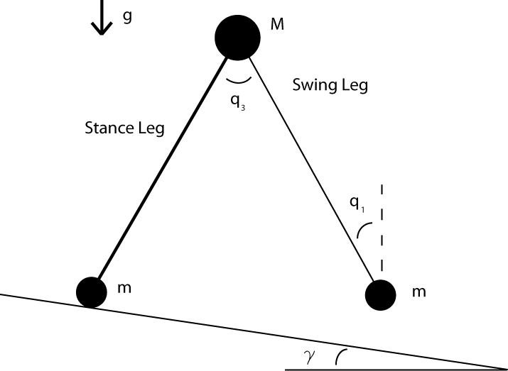 Dynamic Walking MATLAB Simulation Guide